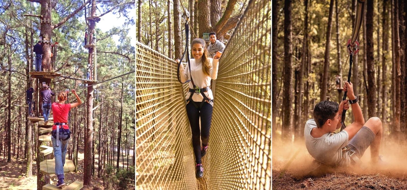 Forestal Park in Tenerife 2023 🌲 Prices, Reviews, Booking